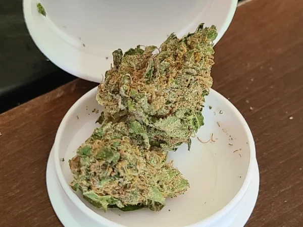 Mazar Kush Marijuana Strain | Buy Cannabis Strain Online EU