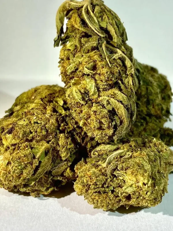Washington Apple Weed Strain | Medical Indica Cannabis Europe